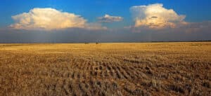 Integrated Engineering Services | FYFE